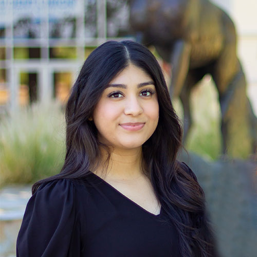 Academic Advisors | Academic Advising | CSUSB